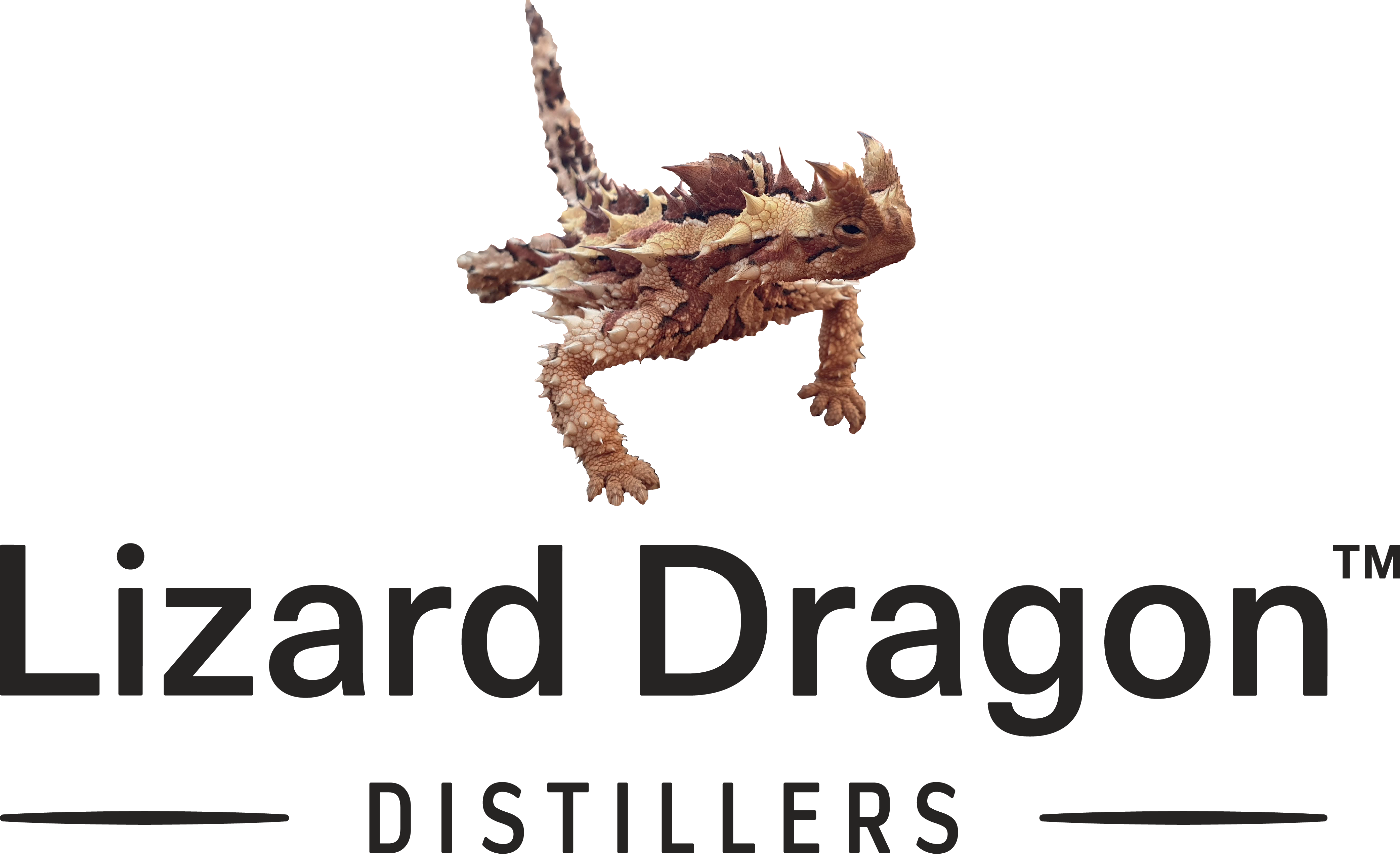 Our Story – Lizard Dragon Distillers